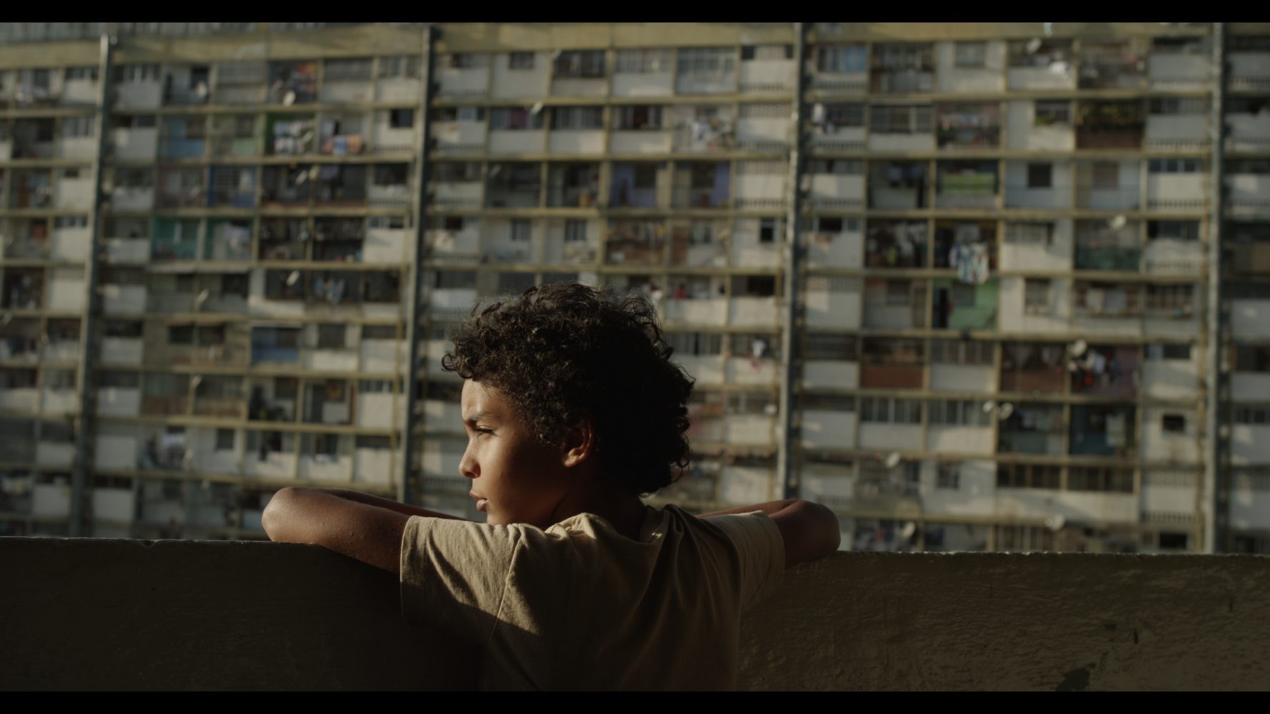 Cinélatino | Pelo malo